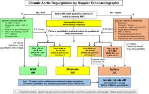 Aortic Regurgitation - Cardio Guide