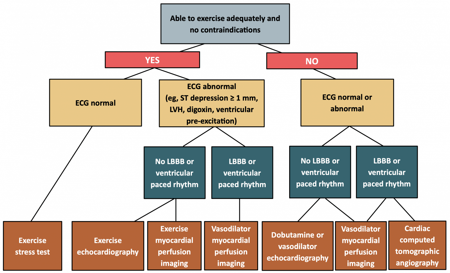 Stable CAD – Cardio Guide