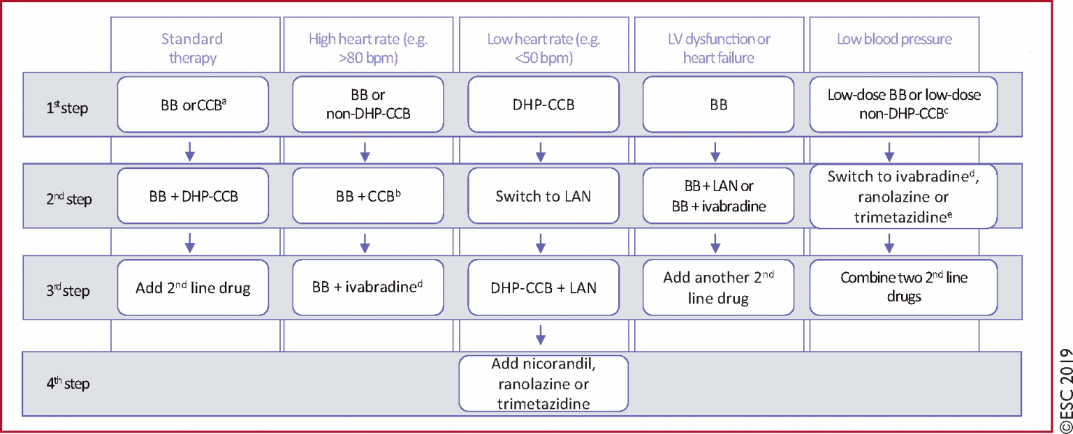 Stable CAD – Cardio Guide
