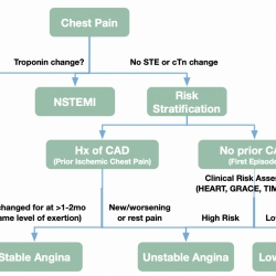 Non-STE ACS (NSTEMI/UA) – Cardio Guide