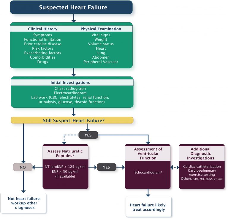 Chronic Heart Failure – Cardio Guide