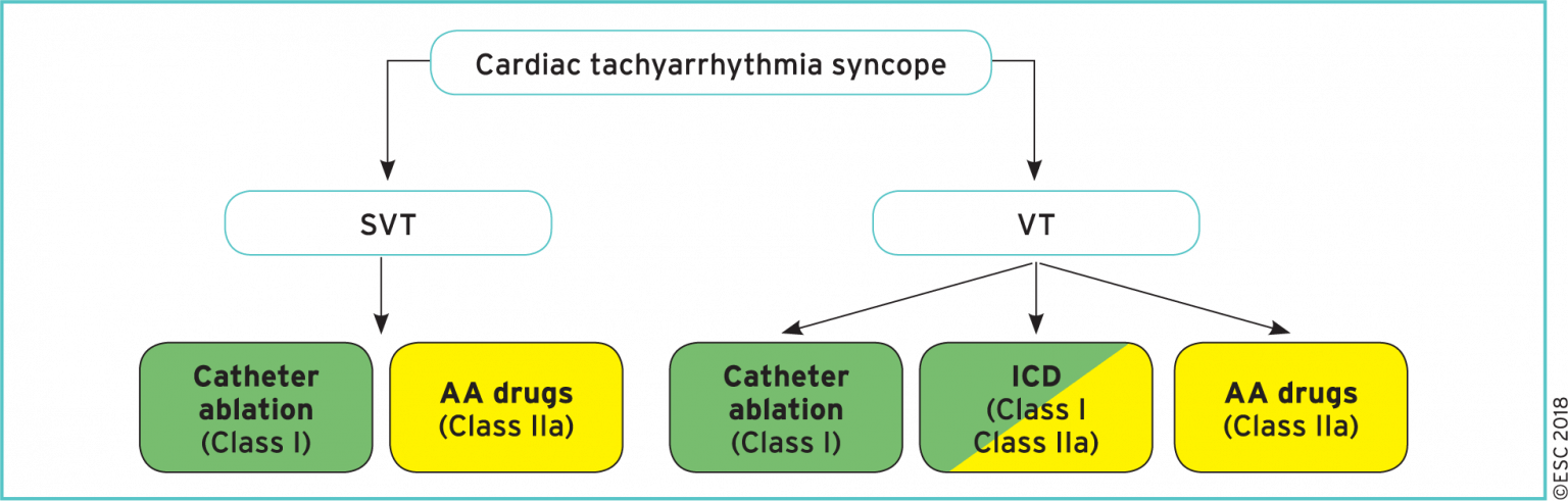 Cardiac Syncope Management - Cardio Guide