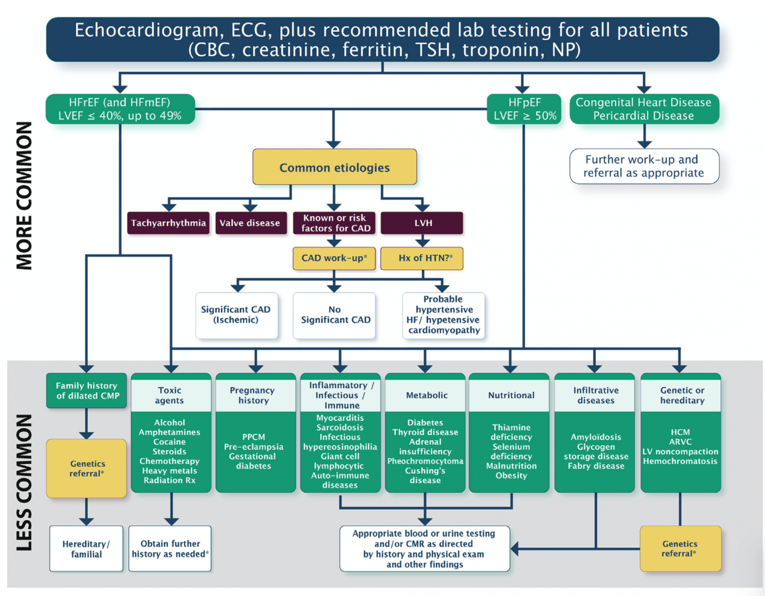 Chronic Heart Failure – Cardio Guide