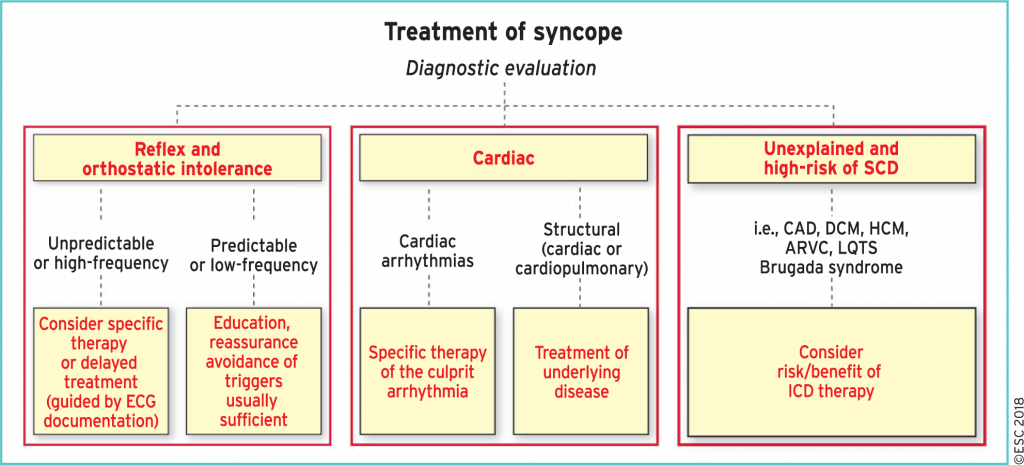 Syncope – Cardio Guide