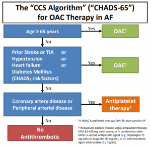 Atrial Fibrillation – Cardio Guide