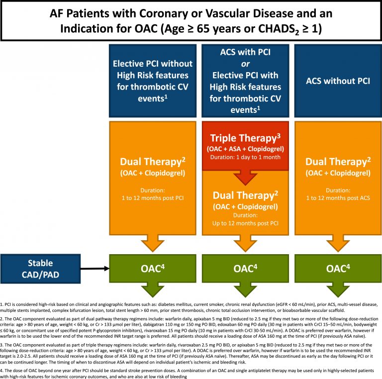 Atrial Fibrillation - Cardio Guide