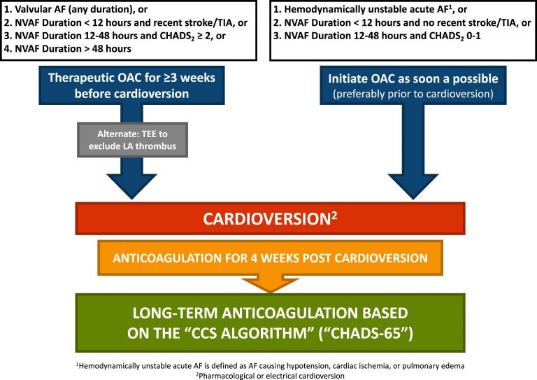 Atrial Fibrillation - Cardio Guide