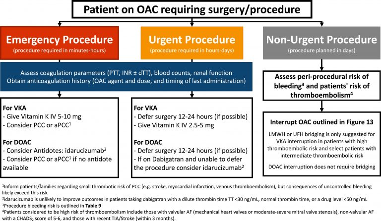 Atrial Fibrillation - Cardio Guide
