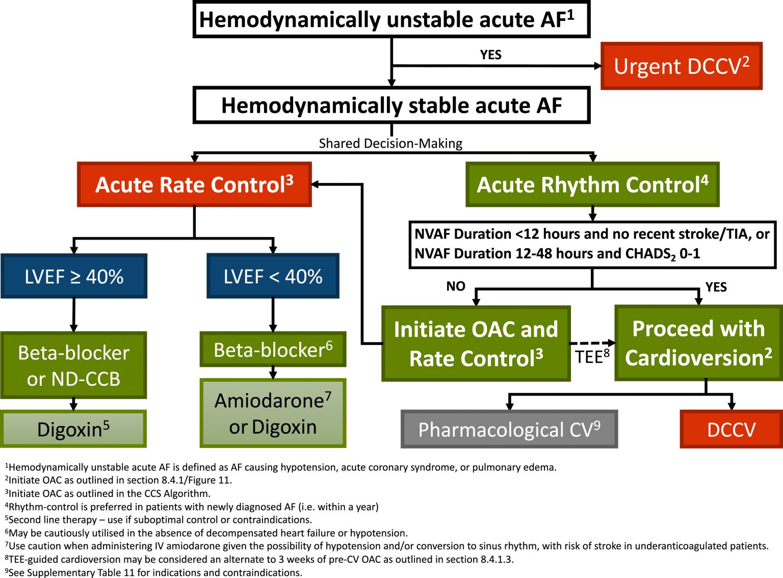 Atrial Fibrillation - Cardio Guide