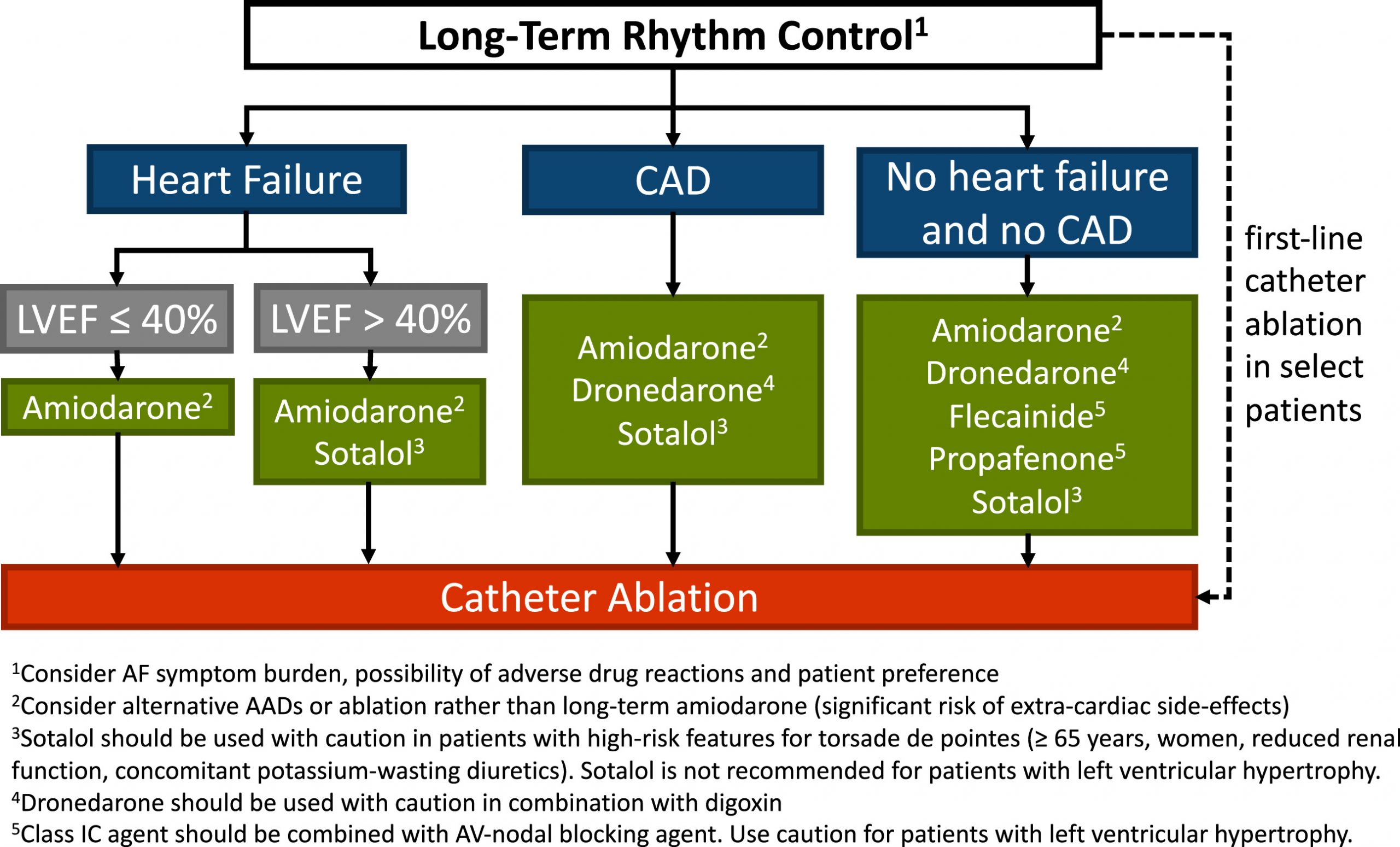 Atrial Fibrillation Cardio Guide