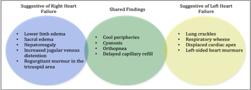 Cardiogenic Shock - Cardio Guide
