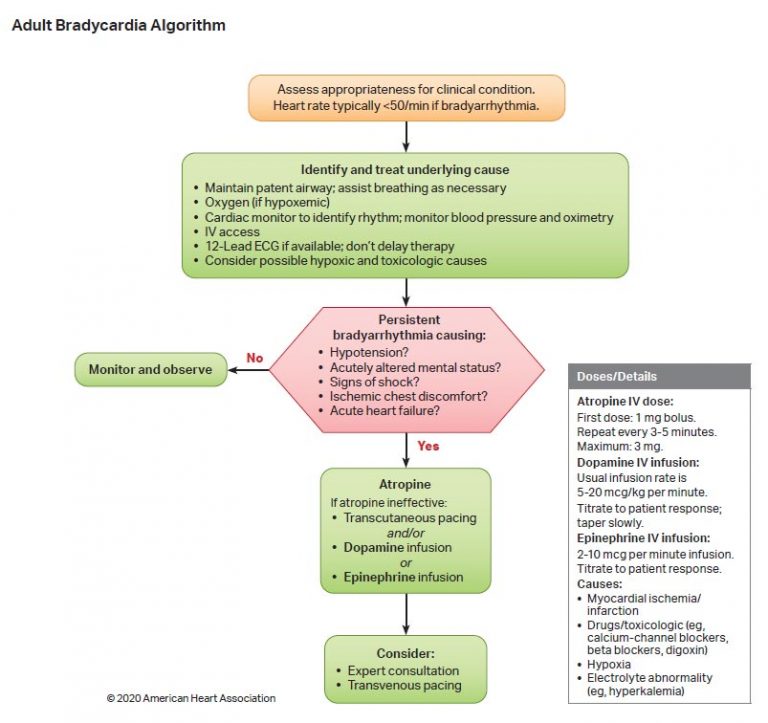 Bradycardia – Management – Cardio Guide